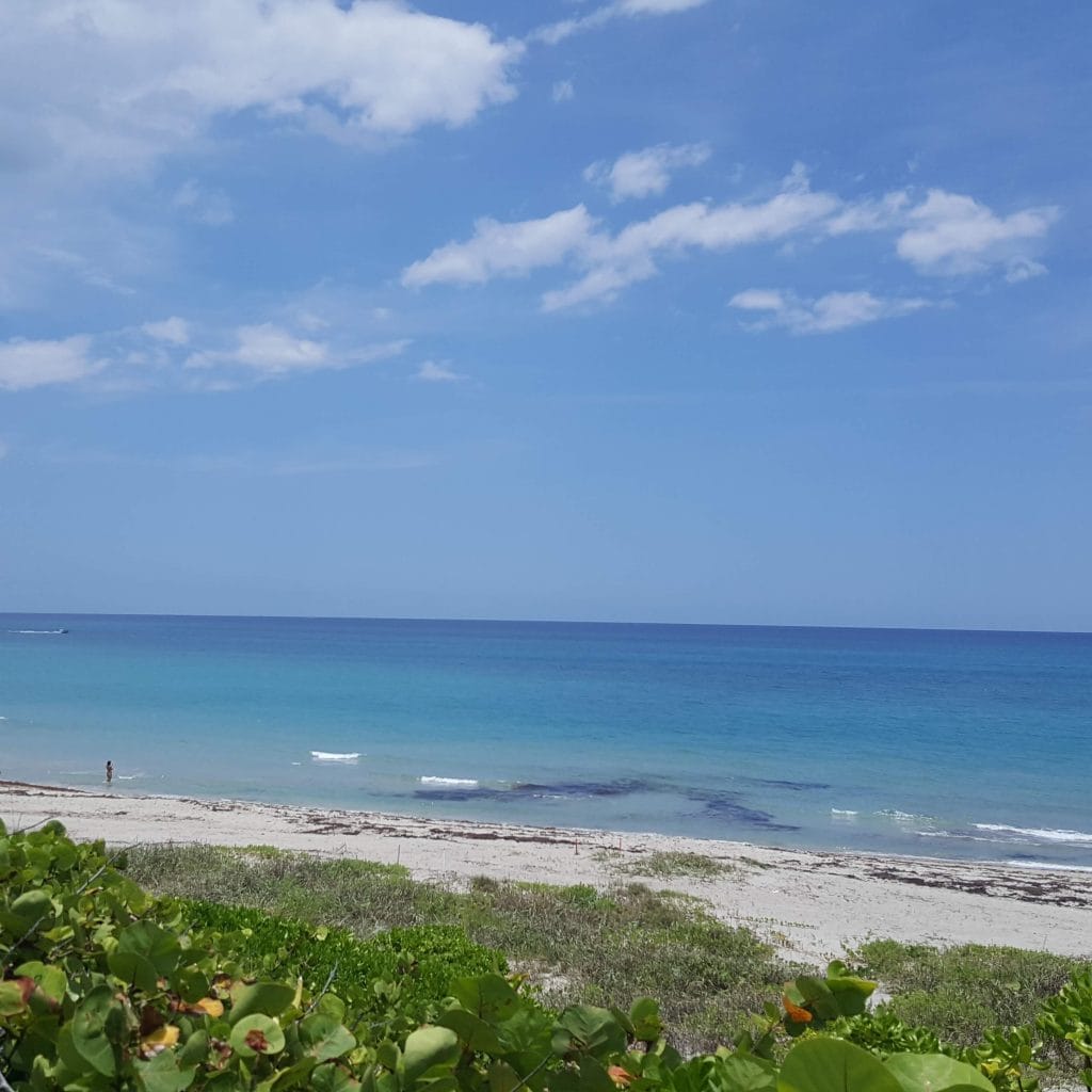 Local Attractions - Juno Ocean Walk RV Resort