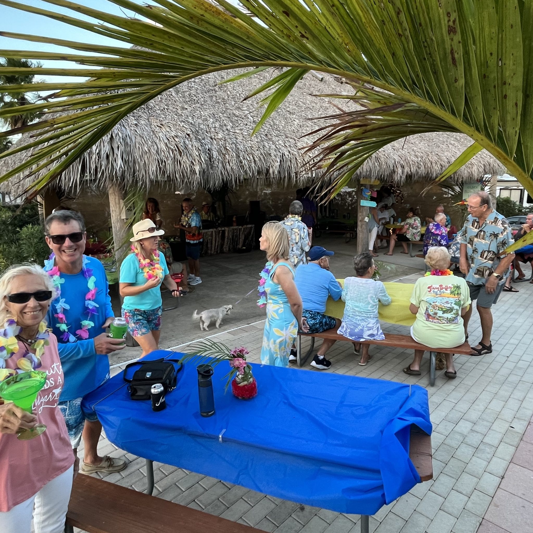 Juno Ocean Walk: Beachfront RV Resort in Juno Beach, FL